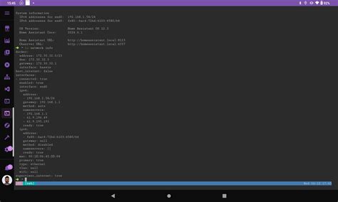 [curity] No Api Token Provided For Core Api Home Assistant Os