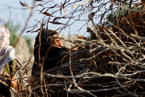 صحيفة الحرب مع حماس ستكلف إسرائيل أكثر من 50 مليار دولار