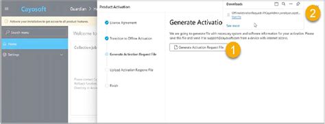 Activating Cayosoft Guardian License Offline Cayosoft Help Center