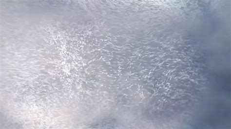 Where Does Sperm Go After Hysterectomy Partial Hysterectomy