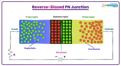 What Is Pn Junction Forward Biased Reverse Biased The Engineering