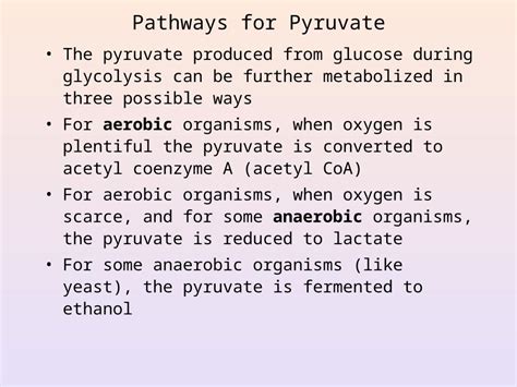 ppt pathways for pyruvate the pyruvate produced from glucose during