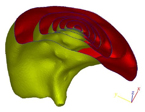 Section View Of The Multilayer Grid Structure Download Scientific Diagram