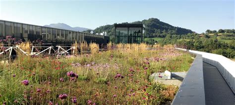 Semi Intensive Green Roofs Zinco Green Roof Systems Uk