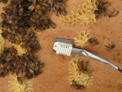 Wemos Not The Right Esp8266 For The Job Details