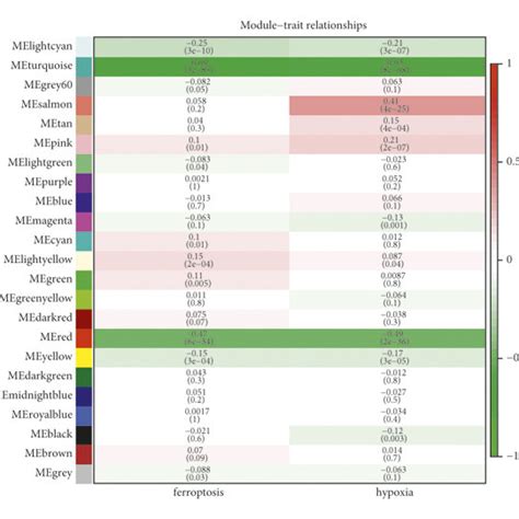 a sample clustering dendrogram with feature heatmap b network