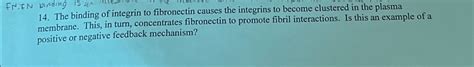 Solved The Binding Of Integrin To Fibronectin Causes The
