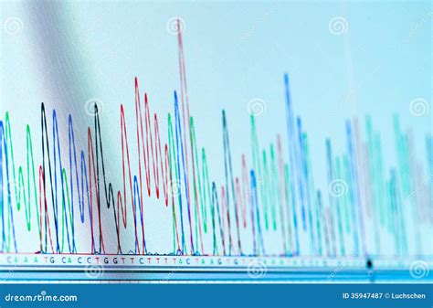 Dna Chromatogram Stock Image Image Of Analysis Chromosome 35947487