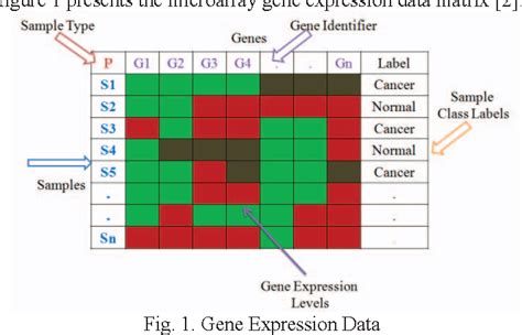 Figure 1 From Classification Of Microarray Gene Expression Data Using