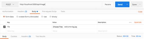 C Net Core 21 Post An Iformfile Using Postman The Application