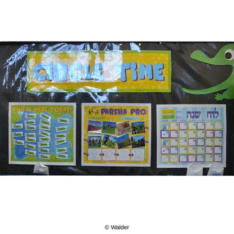 Learn In Style With Our Crocodile Classroom Decoration Walder Education