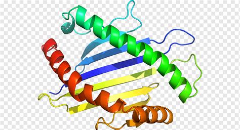 Alpha Chain Sequence Domain Of A Function Body Jewellery Beta2 Microglobulin Sequence Domain