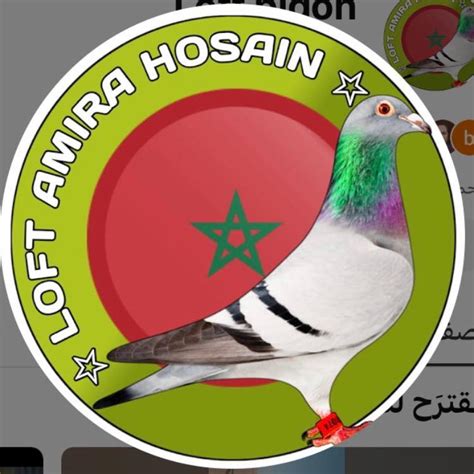 الحمام الزاجل علم الحياة الحمام الزاجل Facebook