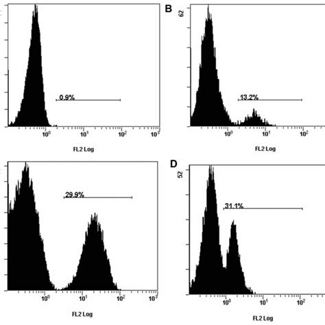 flow chart of sorting and staining of pbmc sorting of cell