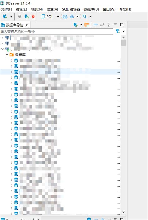 Dbeaver 2134连接pg数据库数据库孤王帝皇5 Damo开发者矩阵 Dbeaver 2134连接pg数据库数据库孤王帝皇5 Damo开发者矩阵