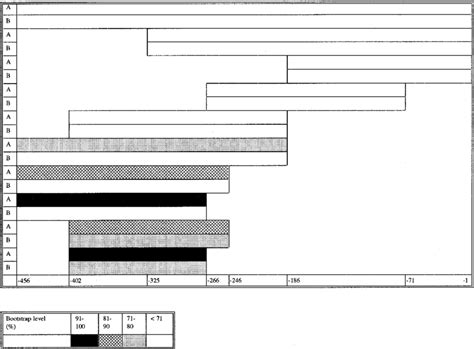 Level Of Bootstrap Support For Phylogenetic Groupings Based On Analysis