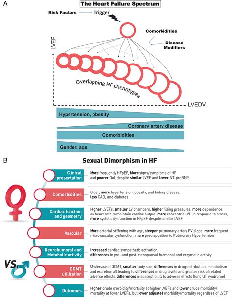 Evolving Towards A More Realistic Approach To The Importance Of Left Ventricular Ejection
