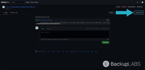 How To Backup Github Repositories And Metadata Backuplabs