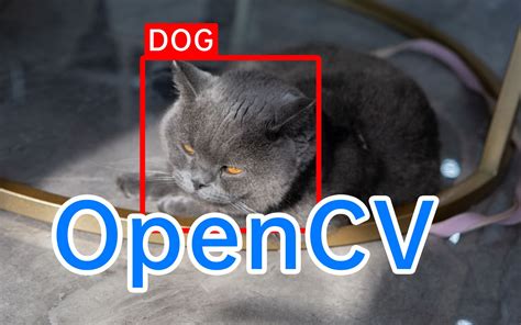 c 图像处理方向学习路线和项目推荐[opencv]【程序员老秦】 程序员老秦 程序员老秦 哔哩哔哩视频