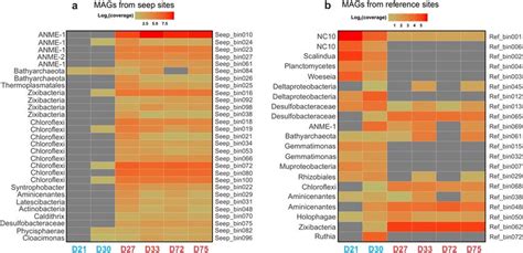 Coverage Of Genome Bins Recovered From A The Seep And B Reference Download Scientific