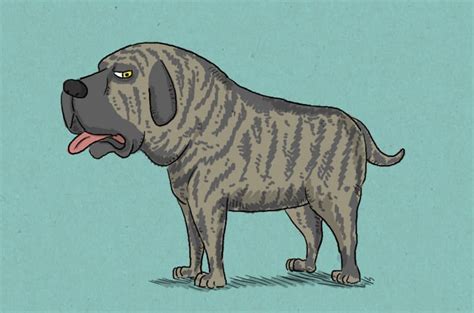 ガチすぎる世界最強の犬の種類ベスト10 ありんとこ