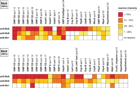 Heatmap Of Immunoreactive Spot Intensities Reactivity Of Murine Download Scientific Diagram
