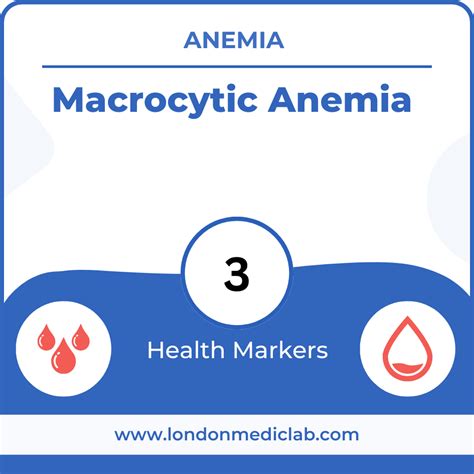 Macrocytic Anemia