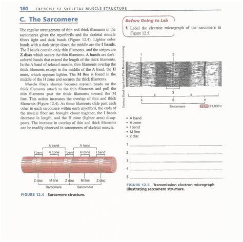 Solved Answer Chegg Com
