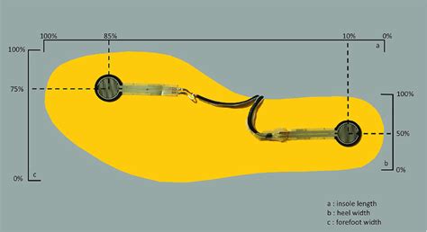 Location Of The Force Sensing Resistors Download Scientific Diagram