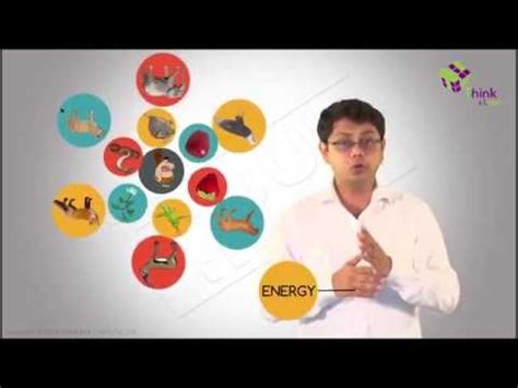 Ecosystem Structure Functions Units And Types Of Ecosystem
