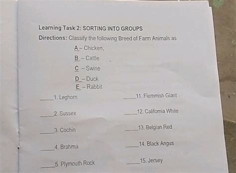 Learning Task 2 Sorting Into Groups Directions Classify The Following