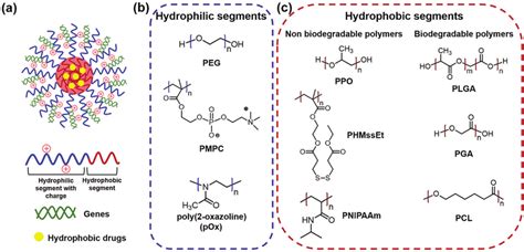 A A Representative Particular Structure Of Polymeric Micelles And