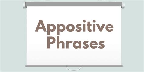 Appositive Phrases And How To Use Them In A Sentence Grammar
