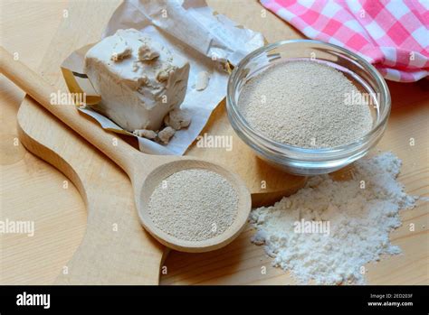 Bakers Yeast Dry Yeast In Spoon And Bowl And Fresh Yeast Compressed