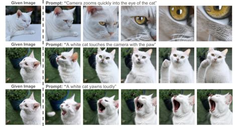 Sequences Of Images Created By The Phenaki Model Given An Image And The