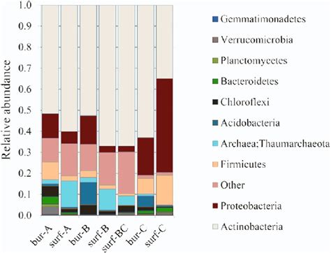 Microbiome Taxonomic Structure At Phylum Level For Different Horizons Download Scientific