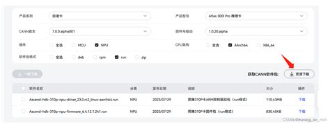 modelscope适配昇腾npu