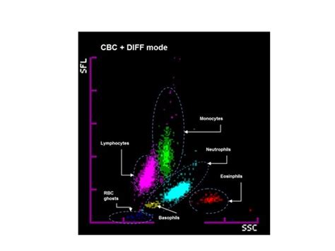 Hematology Lecture Test 2 Flashcards Quizlet