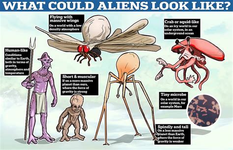 Aliens Could Message Earth Today Scientists Are Eagerly Awaiting An
