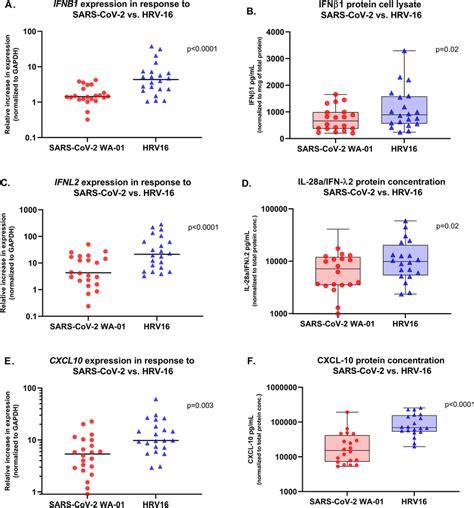 Relative Gene Expression Of Ifnb1 Ifnl2 And Cxcl10 Normalized To