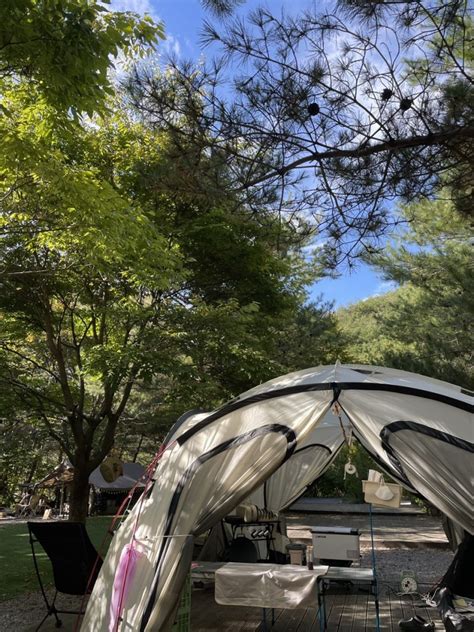 아홉번째 캠핑 법흥계곡 캠핑장 영월캠프 A데크7 네이버 블로그