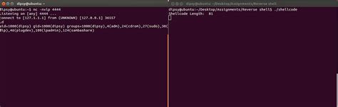 Slae 2 Shell Reverse Tcp This Blog Post Has Been Created For By Dipsy Medium