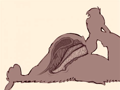 Rule 34 Anal Anal Sex Cloacal Cloacal Penetration Comic Dominant