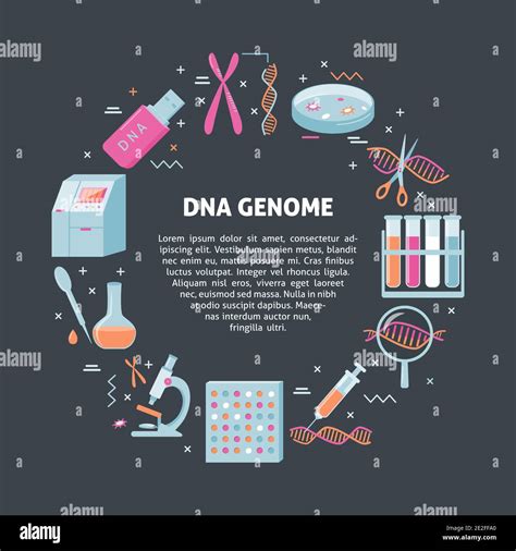 Dna Research Round Concept In Flat Style Genetic Testing And Analysis Symbols Medical Banner