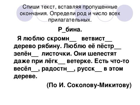 Презентация по русскому языку по теме Имя прилагательное 3 класс Область знаний русский