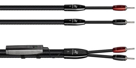Audioquest Lone Ranger Review Audiophilepure