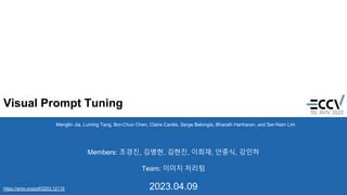 Visual Prompt Tuning PPT