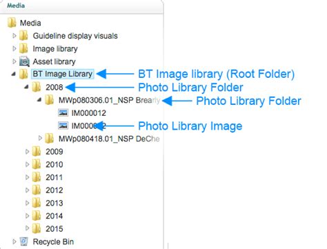 Brand Toolbox Knowledge User Guide Photo Library Image Uploading