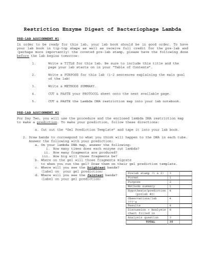 Restriction Enzyme Digest Of Bacteriophage Lambda