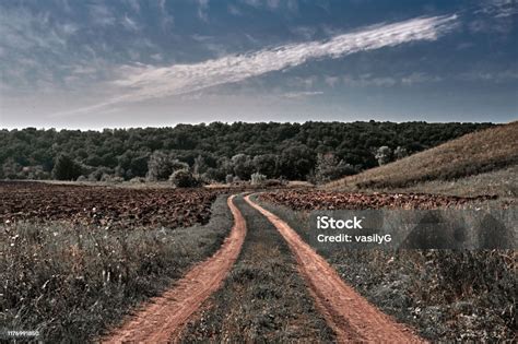 시골 길 언덕의 시골 길 대체 색상 및 색상 그레이딩 0명에 대한 스톡 사진 및 기타 이미지 0명 가을 건초 재배 식물 Istock